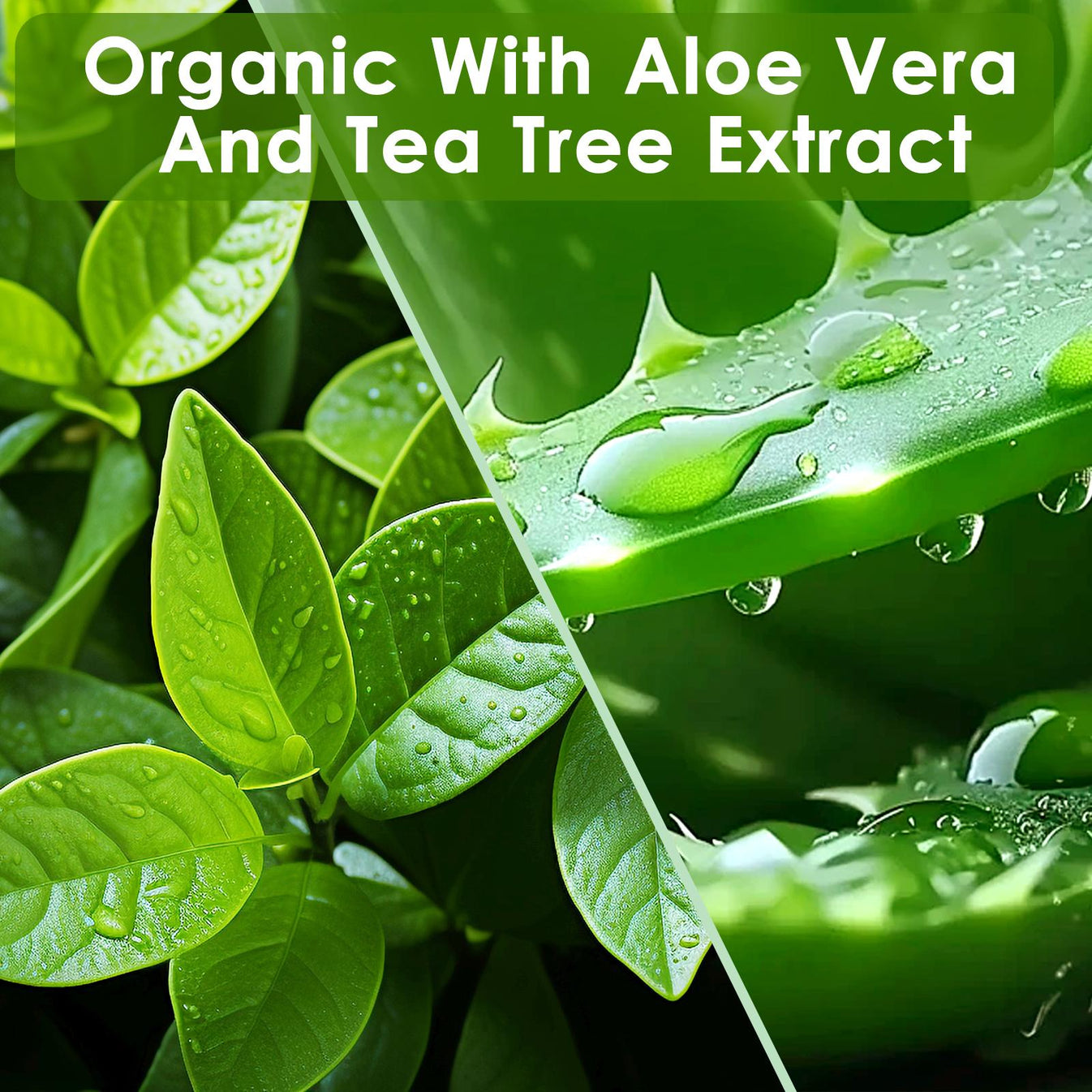 Grocerism Urea Cream 40 Percent For Feet Plus 2% Salicylic Acid 5.29 o